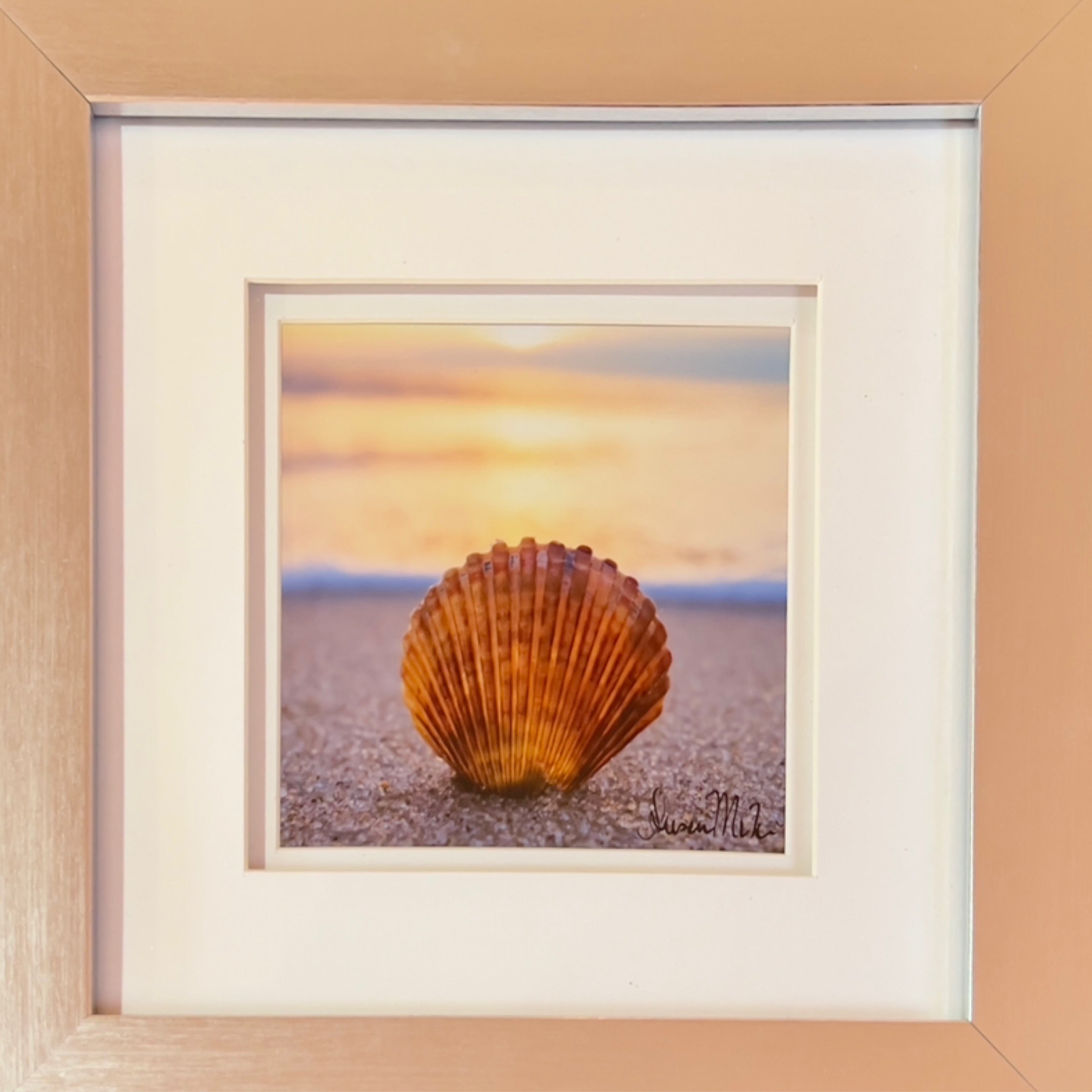 10x10 Silver Frame Scallop Shell at Sunrise | Susan McLean Photography